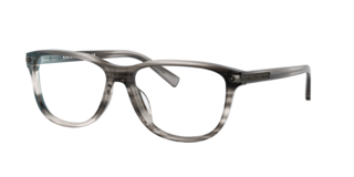 Coach HC6168U C2104 Eyeglasses | LensCrafters