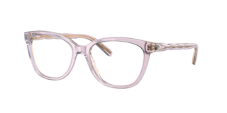 Coach HC6186 Eyeglasses | LensCrafters