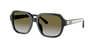 Coach HC8335U C7989 Sunglasses | LensCrafters