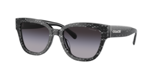 Coach HC8379U CL920 Sunglasses | LensCrafters