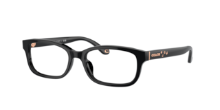 Coach HC6233U Eyeglasses | LensCrafters