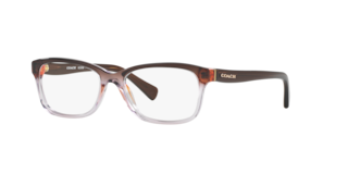 Coach HC6089 Eyeglasses | LensCrafters
