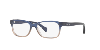 Coach HC6089 Eyeglasses | LensCrafters