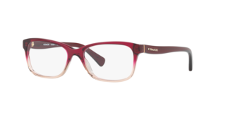 Coach HC6089 Eyeglasses | LensCrafters