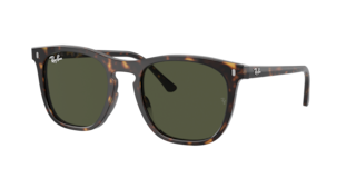 Ray-Ban RB2210 Sunglasses | LensCrafters