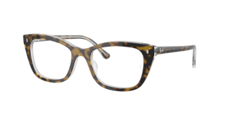 Ray-Ban RB5433 Optics Eyeglasses | LensCrafters