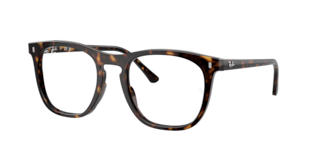 Ray-Ban RB2210V Optics Eyeglasses | LensCrafters