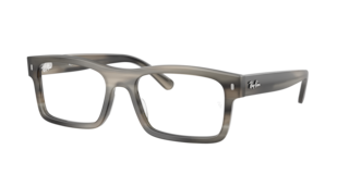 Ray-Ban RB5435 Optics Eyeglasses | LensCrafters