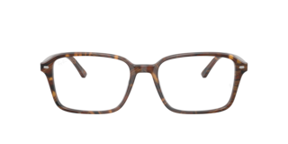 Ray-Ban RB5431 Raimond Optics Eyeglasses | LensCrafters