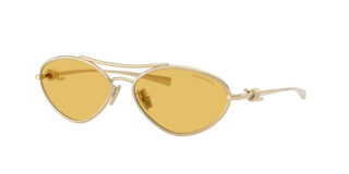 Tiffany TF3117 Sunglasses | LensCrafters
