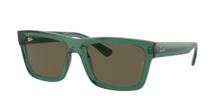 Ray-Ban RB4396 Warren Bio-Based Sunglasses | LensCrafters
