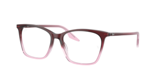 Ray-Ban RB5422 Optics Eyeglasses | LensCrafters