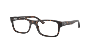 Ray-Ban RB5268 Optics Eyeglasses | LensCrafters